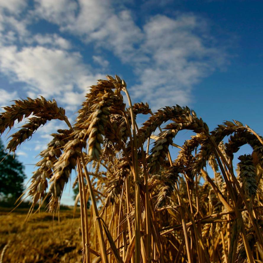 Find Wwf S Range Of Press Releases Here Wwf